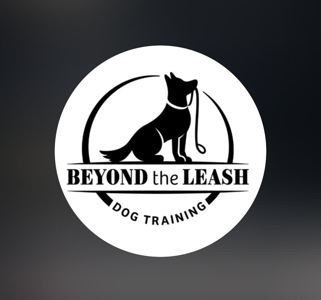 Beyond the Leash Orlando Review | Dog Training, Day Camp & Sports ...